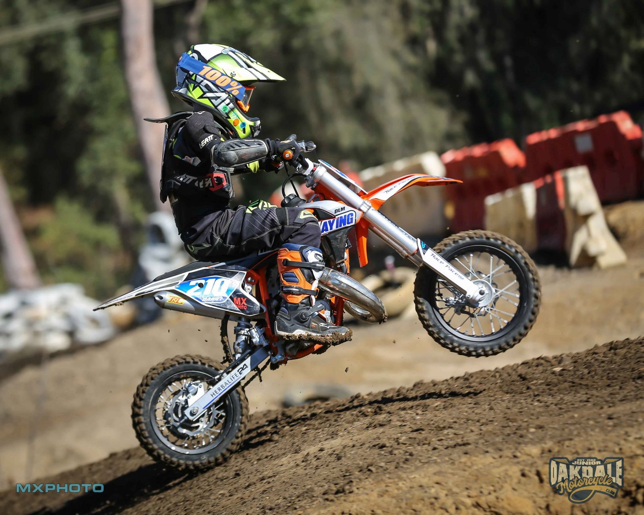 Daniel Reddy's Instagram, Twitter & Facebook on IDCrawl